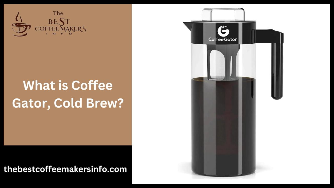 Flavor Magic of Coffee Gator Cold Brew - Best Coffee Maker Info